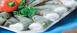 HEADLESS SHELL ON (HLSO) | tradekorea