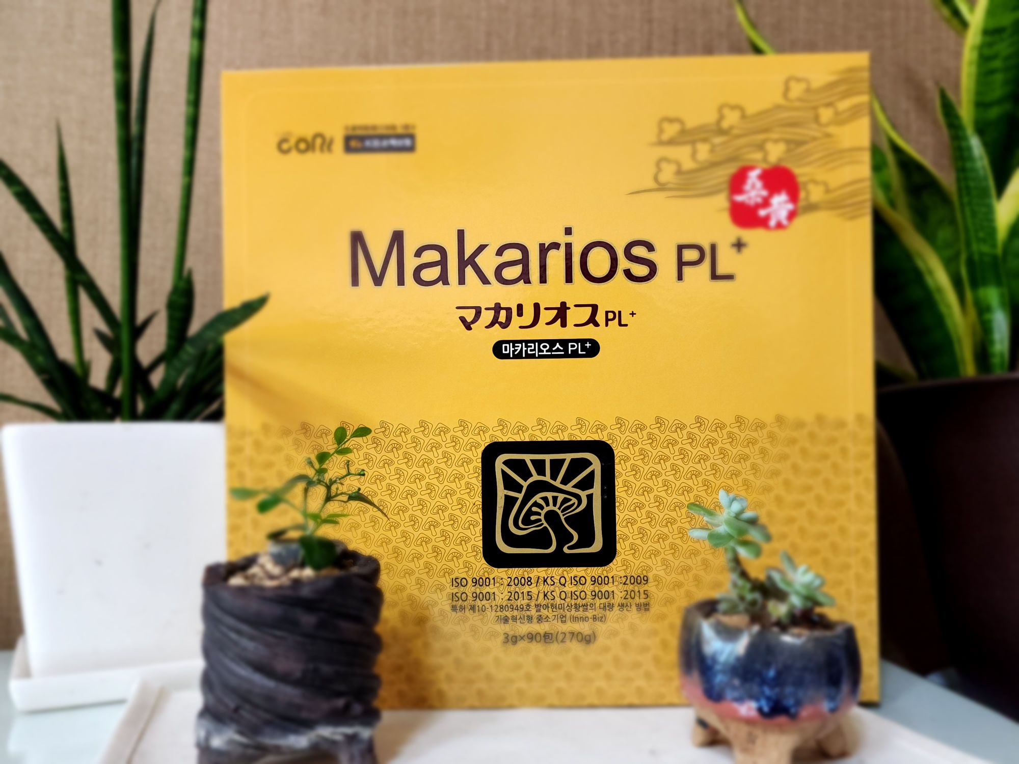 MAKARIOS PL Plus (Makarios Pl Phellinus Linteusgrown On Germinated ...