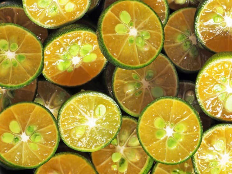 Fresh/ Frozen Calamansi | tradekorea
