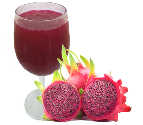 DRAGON FRUIT PUREE/ PITAYA FRUIT/ RED DRAGON FRUIT | tradekorea