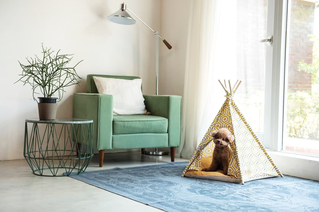 Huts and Bay_Teepee tent_Geometry Yellow | tradekorea