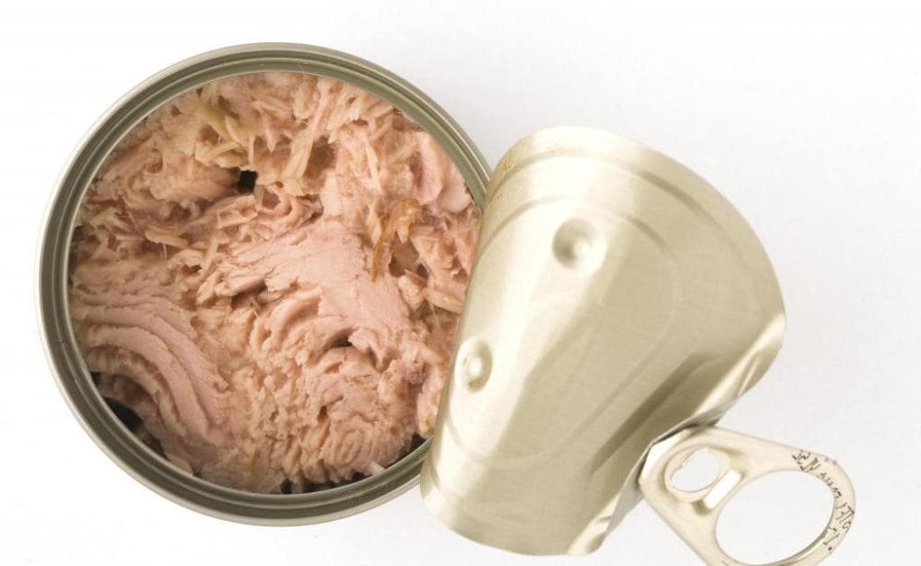 SKIPJACK TUNA CHUNKS | tradekorea