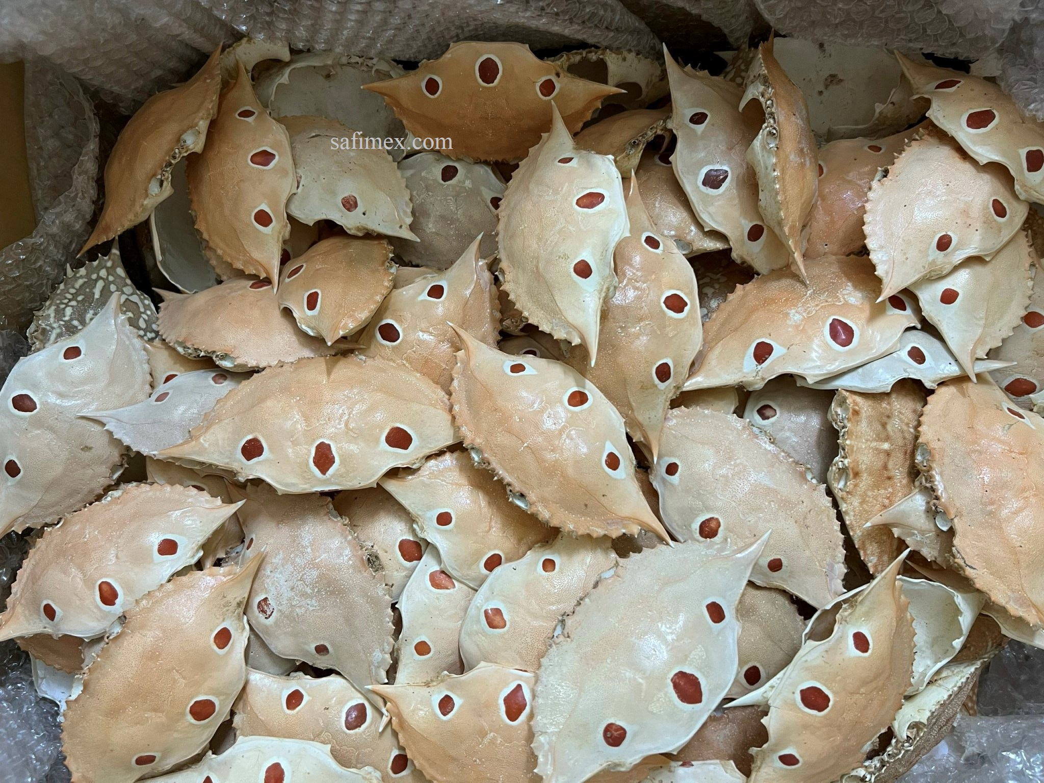 Blue Crab Shell Whole and Clean Raw for Stuffed Meat/Dried Style Food ...