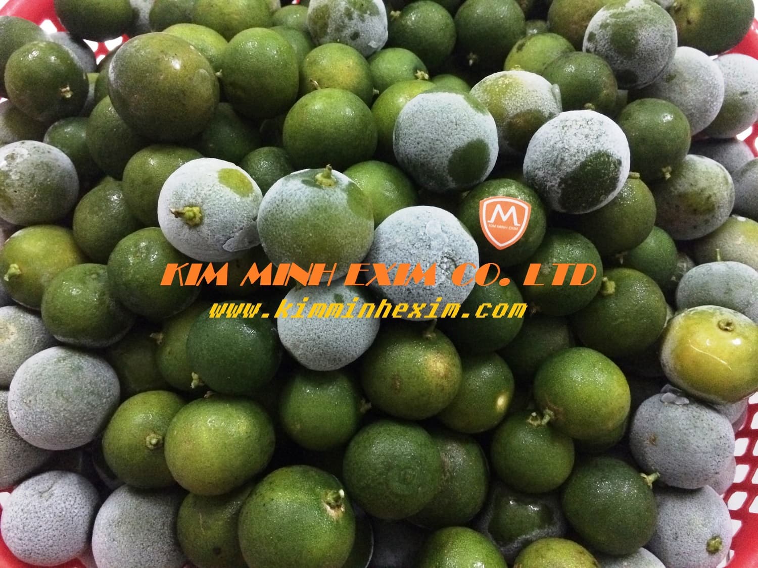 FROZEN CALAMANSI FRUIT (WHOLE/HALF CUT/PUREE) | tradekorea