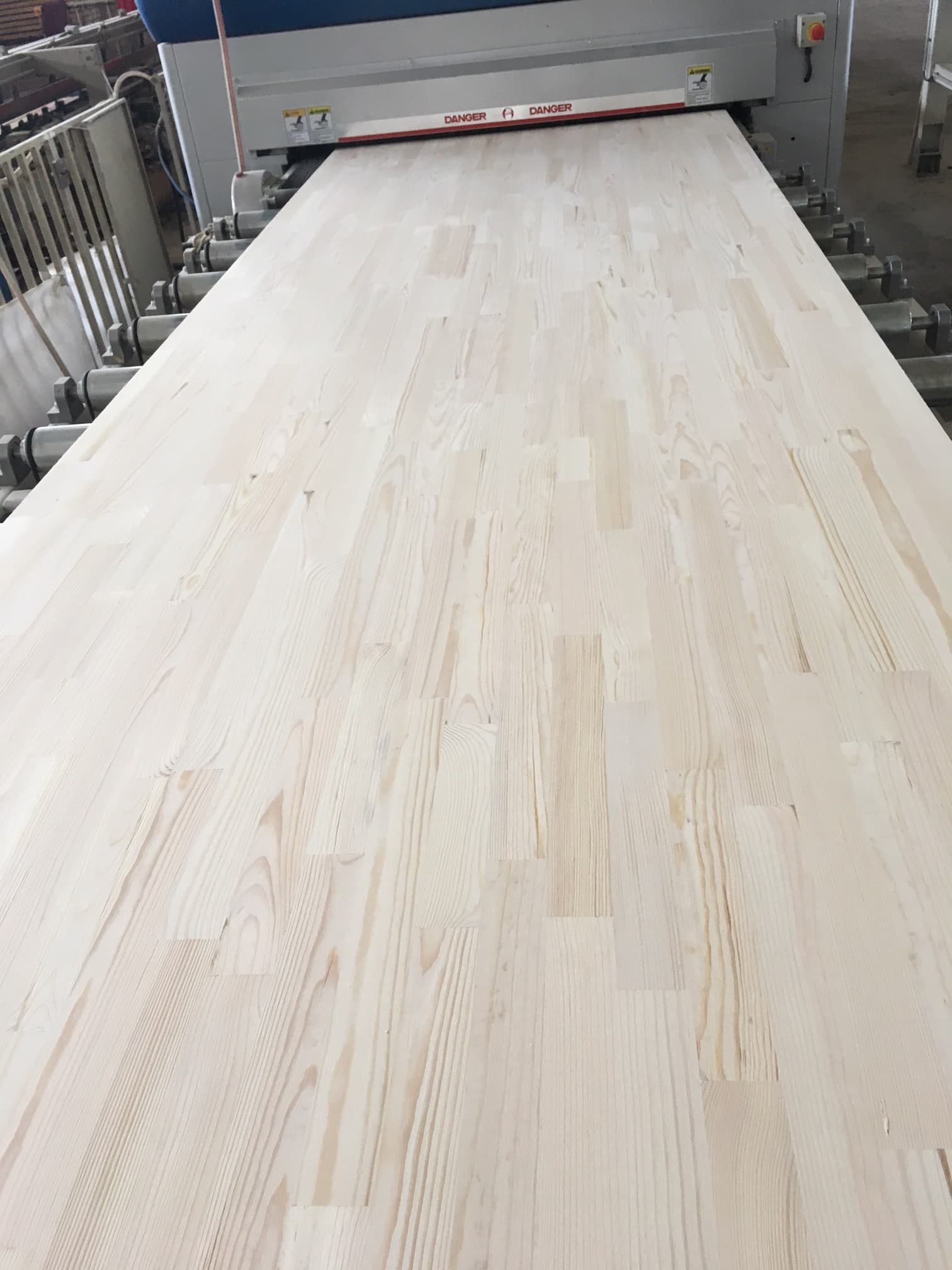 edge glued panel | tradekorea