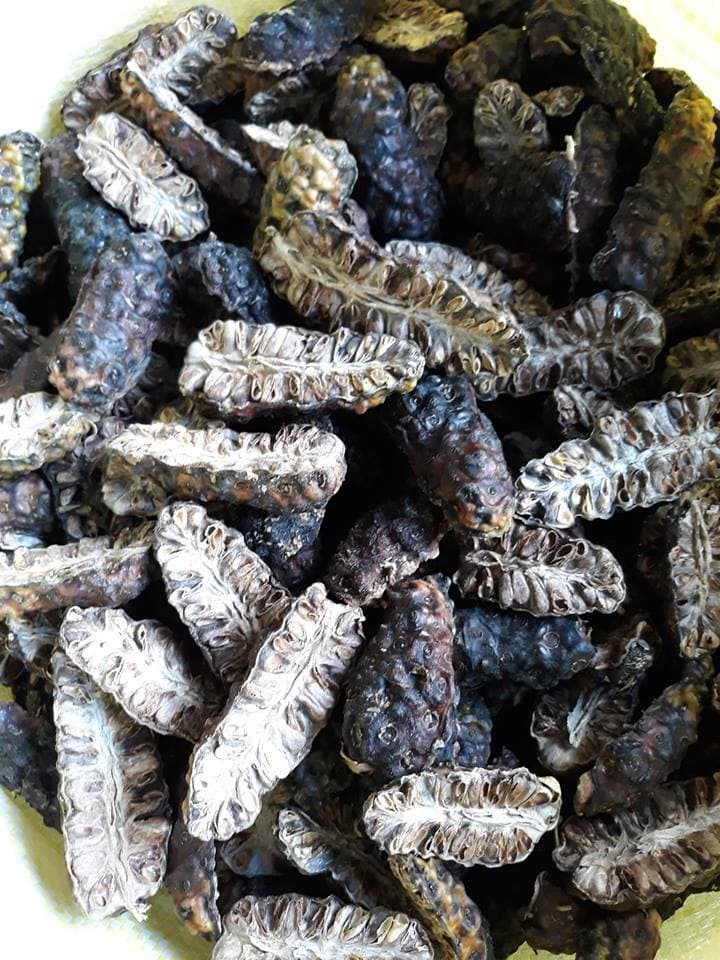 Dried Noni Fruit | tradekorea