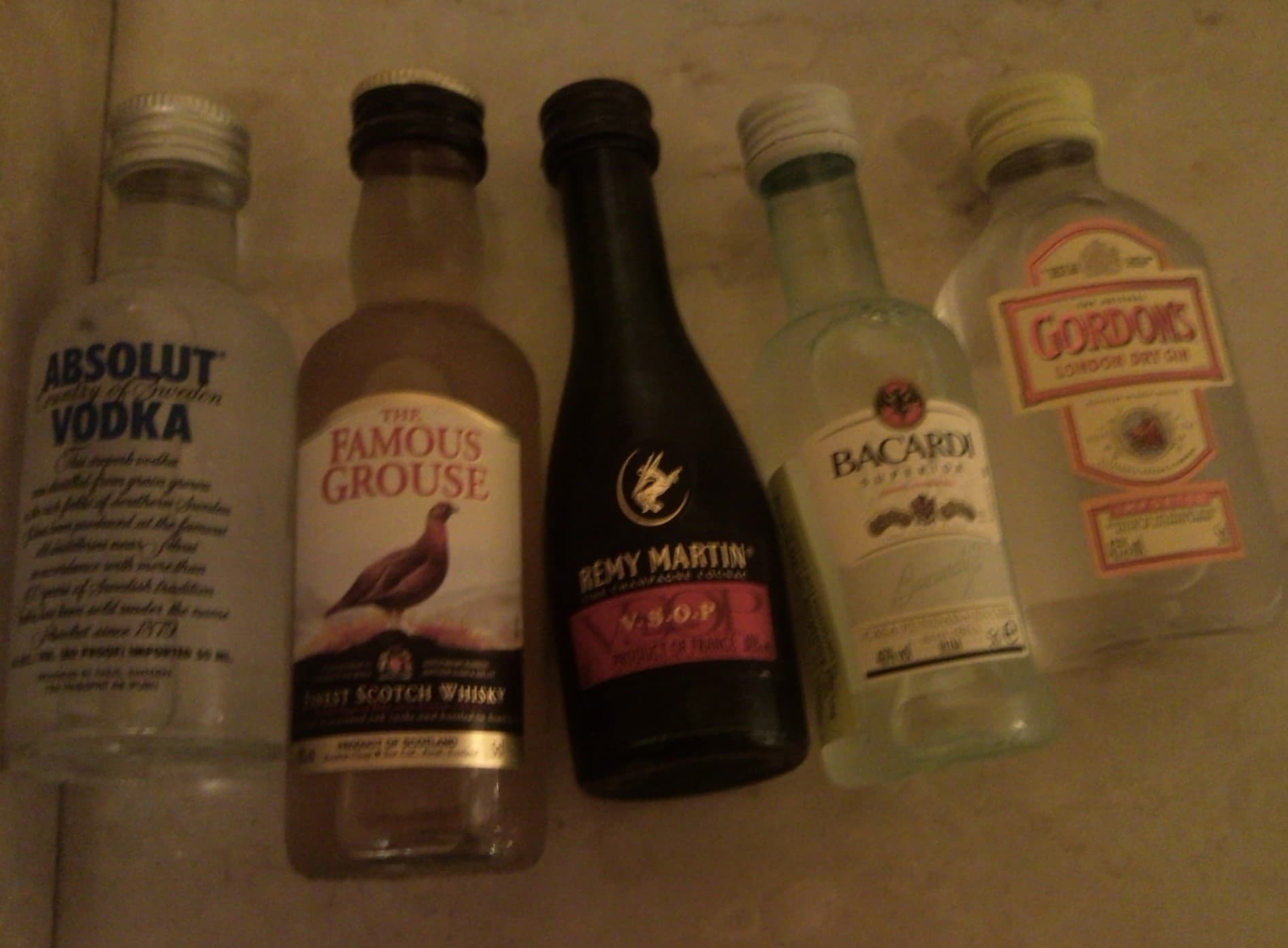 Branded Liquor Mini | tradekorea