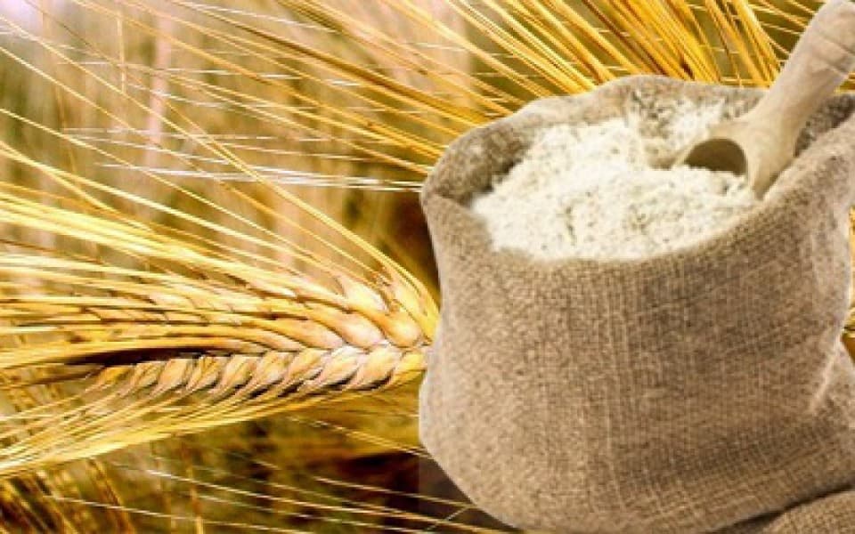 Wheat flour from Russia | tradekorea