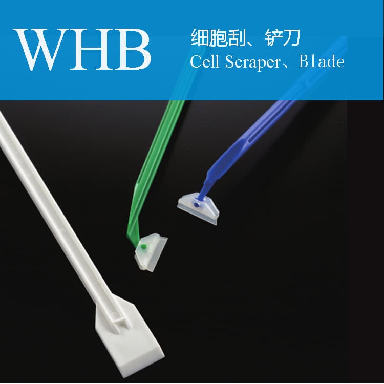 Plastic Sterile Cell Scraper With Flexible Blade Head | tradekorea