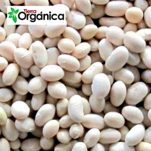 Panamito Beans | tradekorea