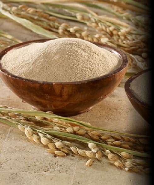 Rice bran powder | tradekorea
