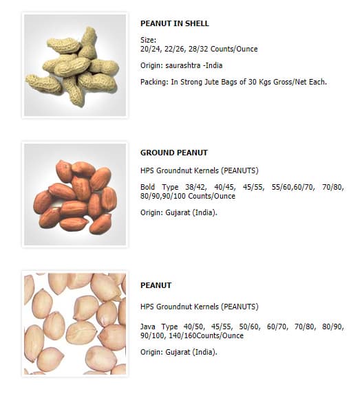 Ttangkong Peanut Groundnut bold blanch Java manufacturer | tradekorea