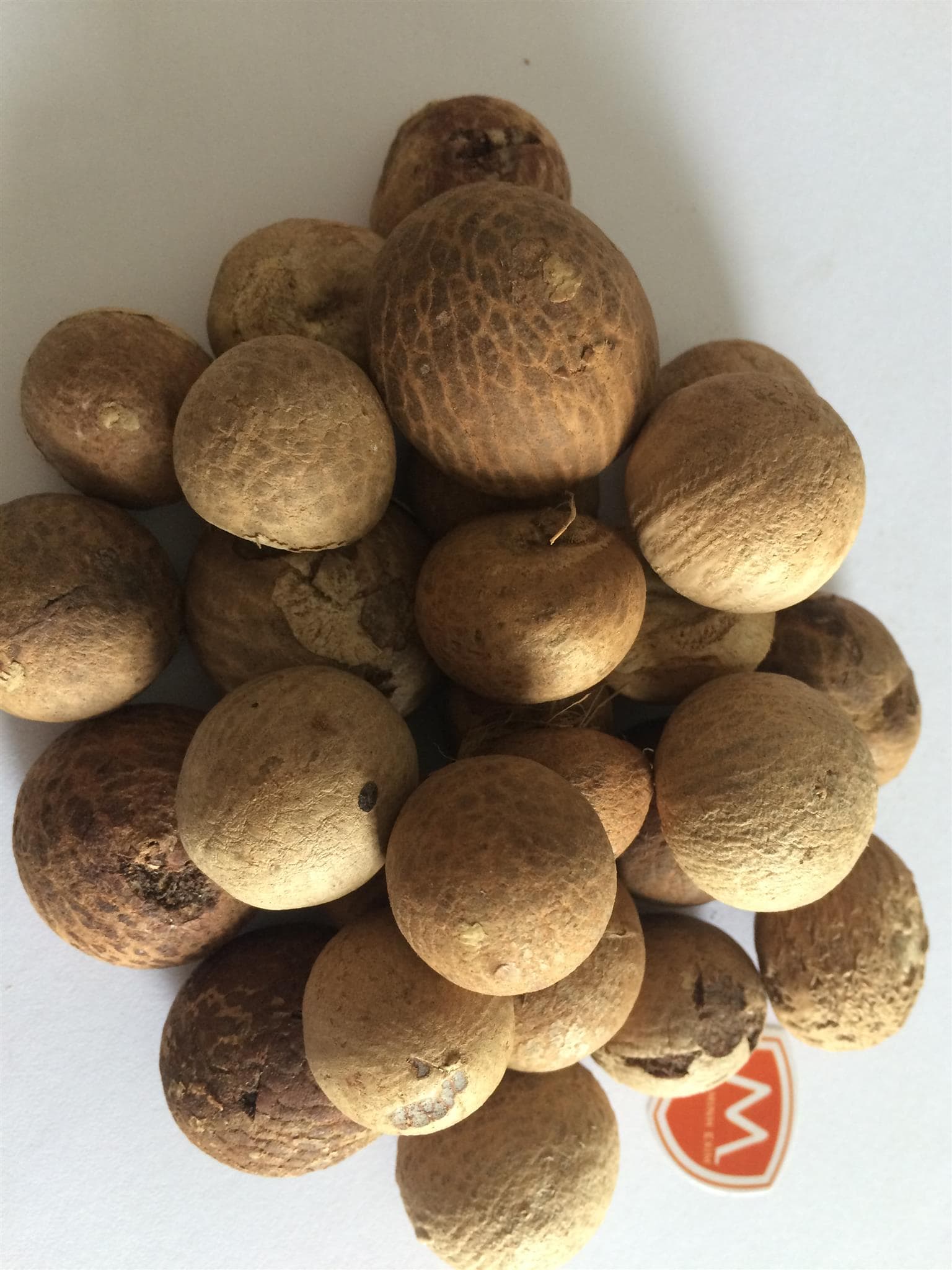 DRIED BETEL NUT - BOIL ARECA NUT | tradekorea