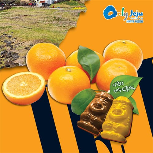JEJU Mandarin Chocolate | tradekorea