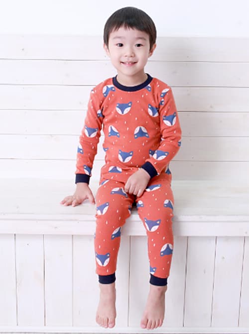 Macaron Fox(20'Flice) | tradekorea