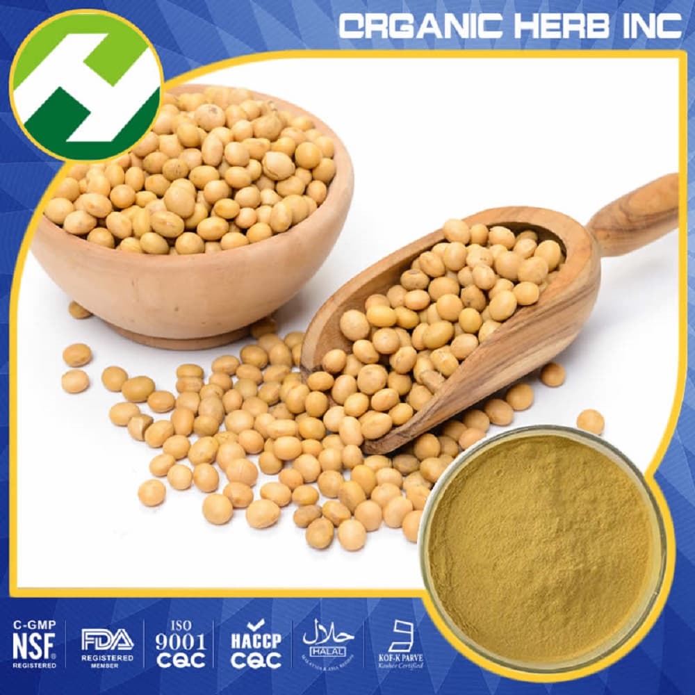 Soybean Extract Isoflavones | tradekorea