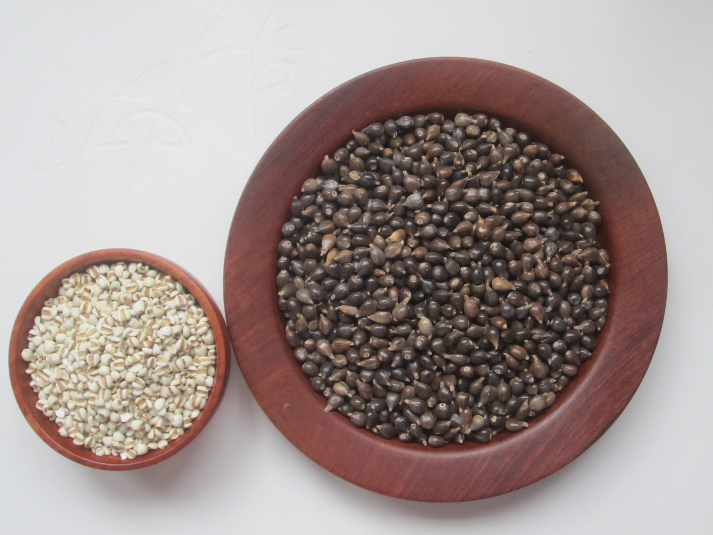 job's tears | tradekorea