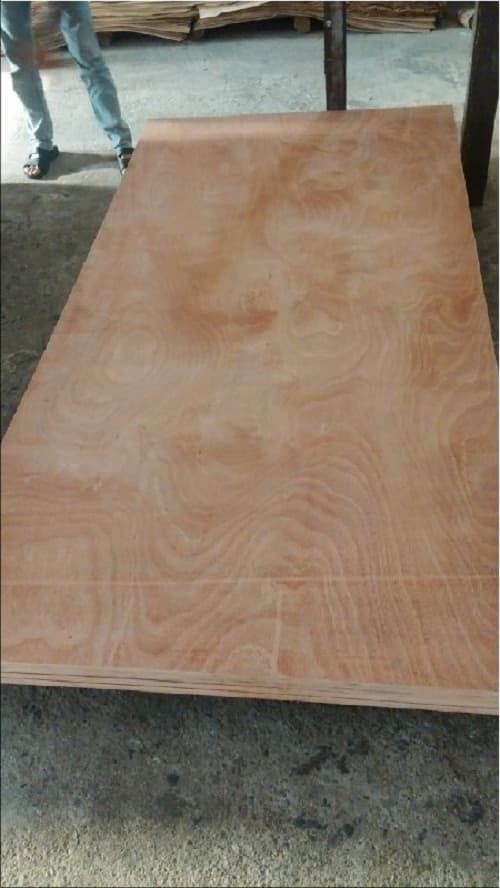 Packing plywood | tradekorea