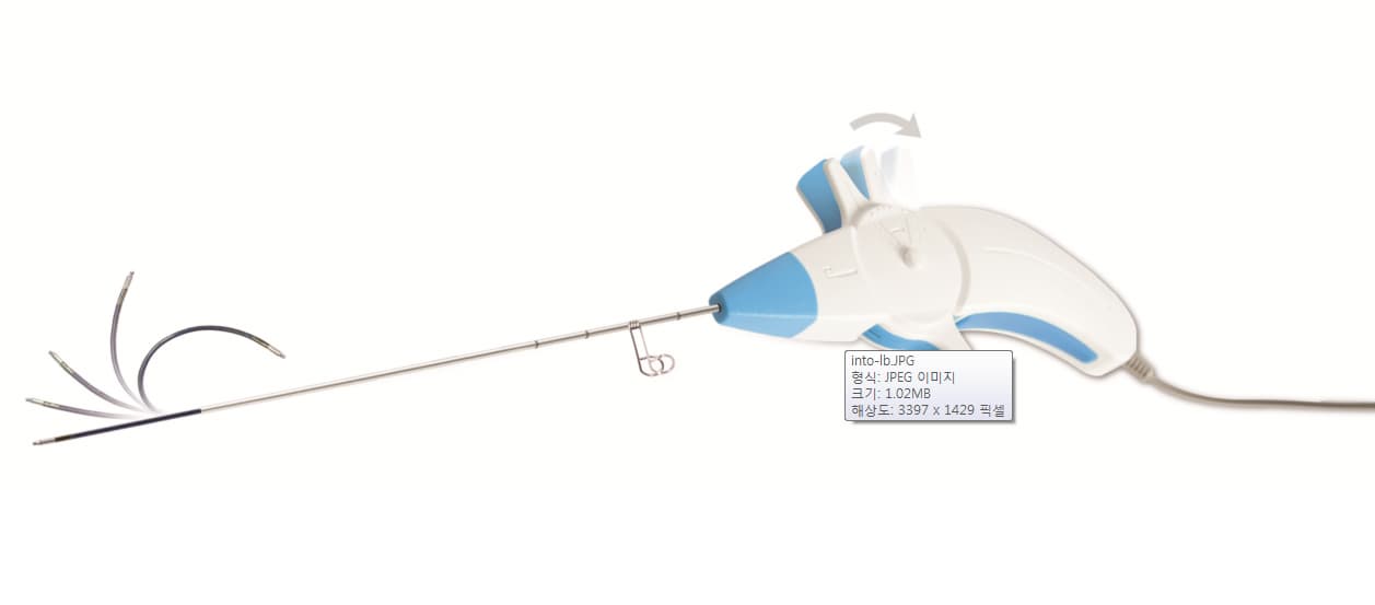 discectomy | tradekorea