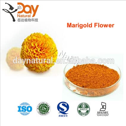 Marigold Flower Extract Zeaxanthin 5%-60% hplc/uv | tradekorea