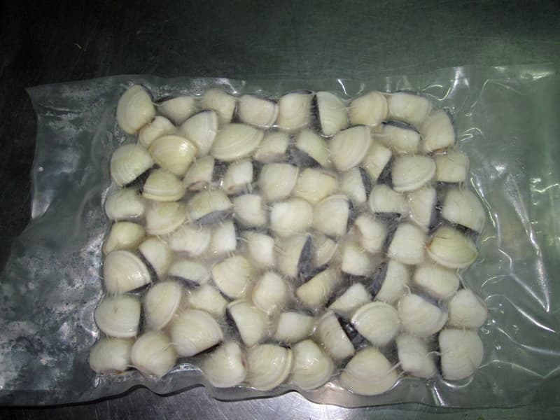 HIGH QUALITY FROZEN WHOLE WHITE CLAM SHELL ON | tradekorea