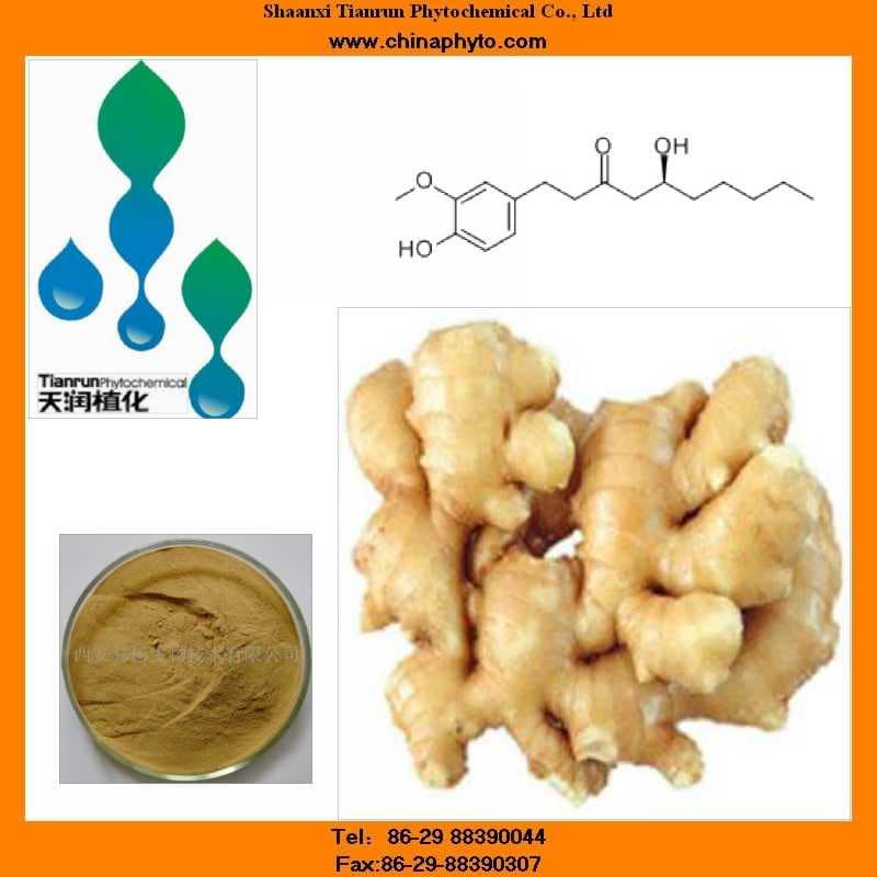 Ginger root (Zingiber officinale) extract Gingerol | tradekorea